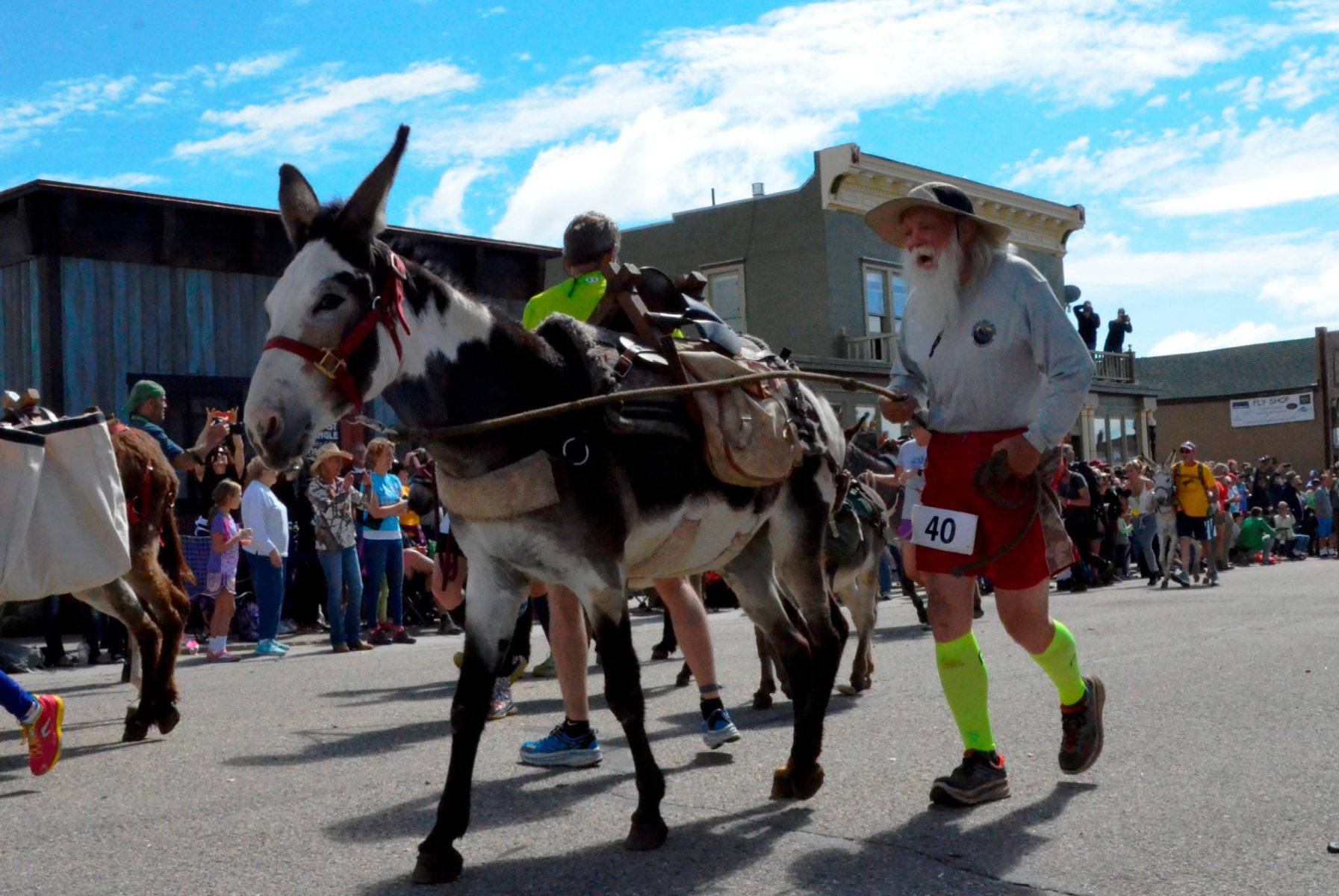 Burro Days | Town of Fairplay Colorado